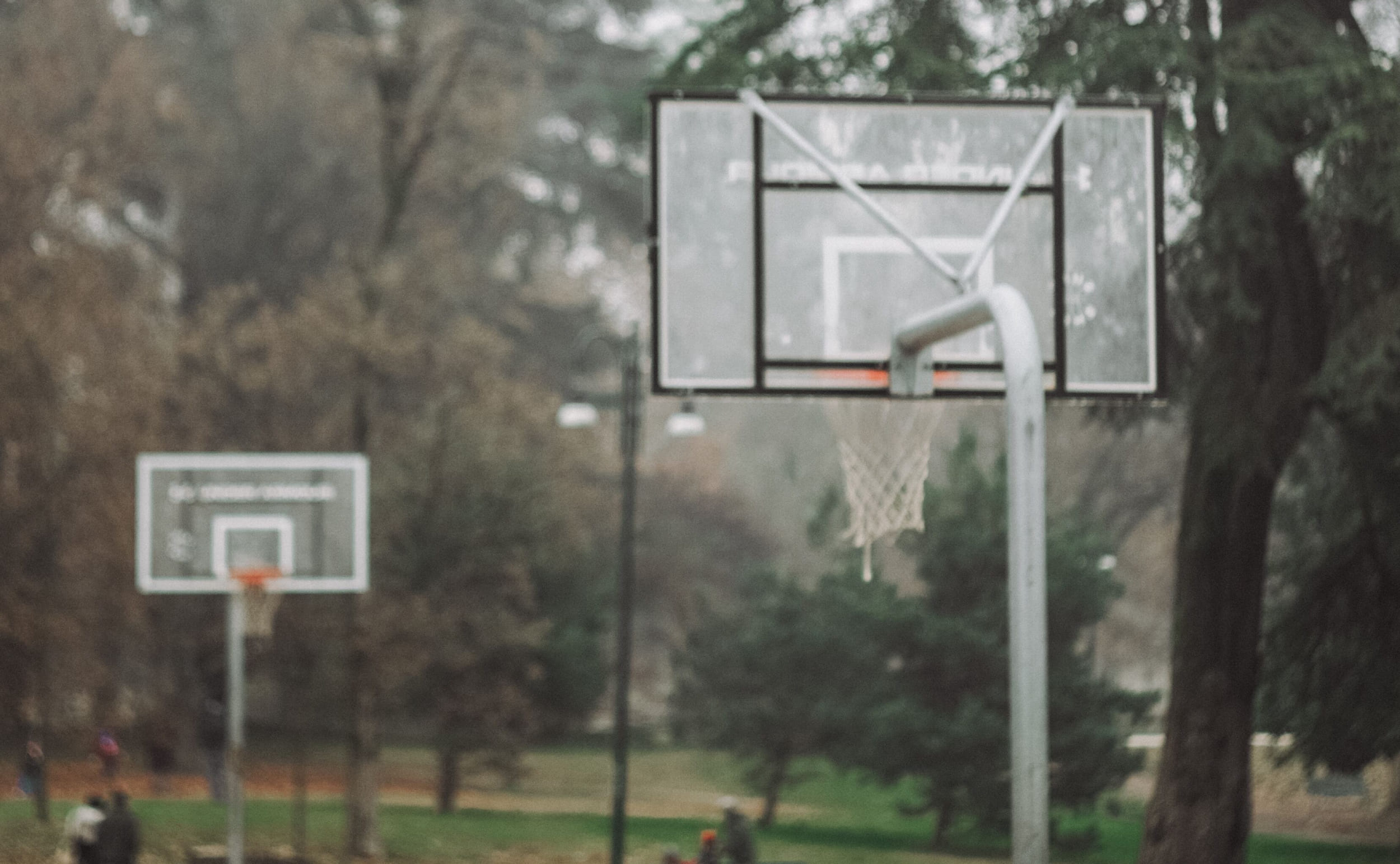 Ashish Prashar statement | TAAF